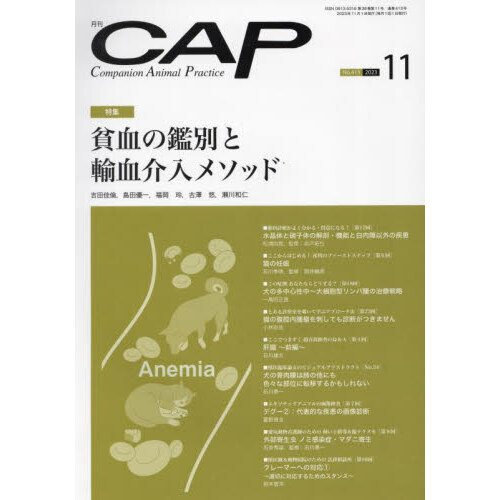 CAP 413 通販｜セブンネットショッピング