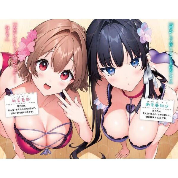 男嫌いな美人姉妹を名前も告げずに助けたら一体どうなる? 2 通販|セブンネットショッピング